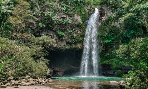 Tavoro Waterfall Tour Taveuni Island Matangi Private Island Resort Fiji
