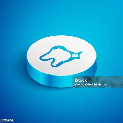 파란색 배경에 격리 된 등색 선 치아 미백 개념 아이콘 치과 진료소 또는 치과 의료 센터에 대한 치아 기호 흰색 원 버튼 벡터 3차원 형태에 대한 스톡 벡터 아트 및 기타