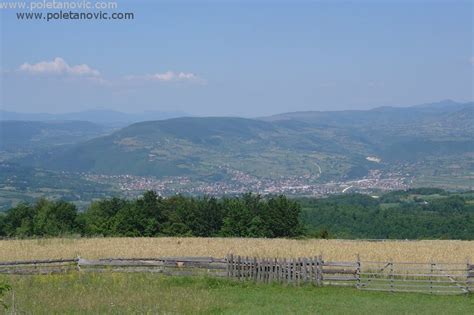 Слике Шипова из Јула 2003