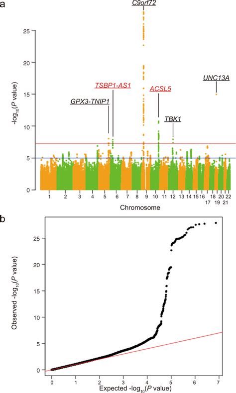 Multi Ethnic Meta Analysis Among European Japanese And Chinese Download Scientific Diagram