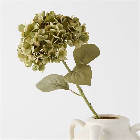 Shop Hydrangea Stem Green Online Bed Bath N Table