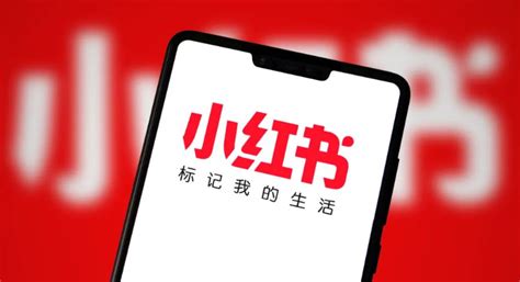 如何在小红书中去除视频中的水印 超实用 视频下载 视频下载plus助手工具