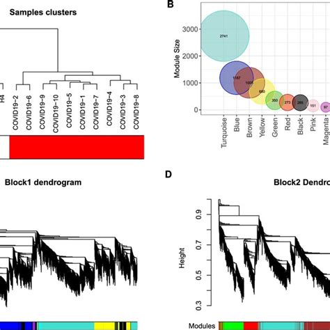 Construction Of Weighted Co Expression Network A Sample Dendrogram And