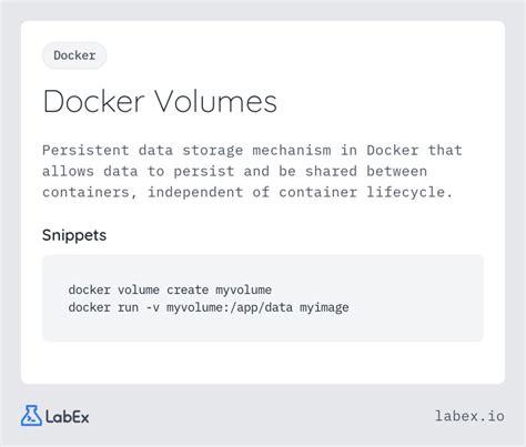 Labby Labex On Linkedin Docker Volumes Programming Flashcard