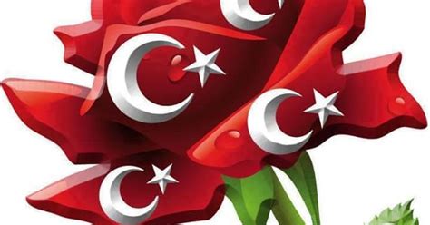 Halime Çavuş Halim Çavuş