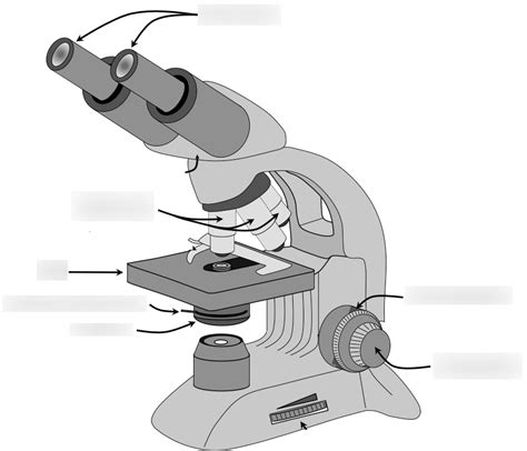 Lab Exam 1 Microbiology Diagram Quizlet