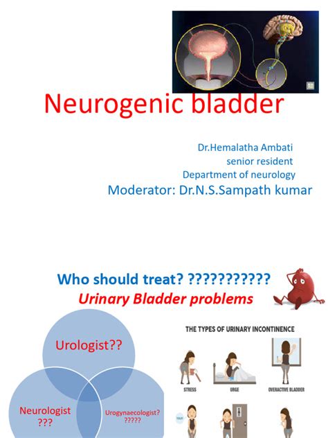 06 05 21 Neurogenic Bladder Dr Hema Pdf Urination Urinary Incontinence