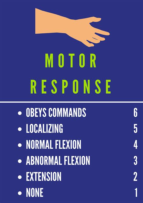 Understanding The Glasgow Coma Scale And Head Trauma A Guide For Atls