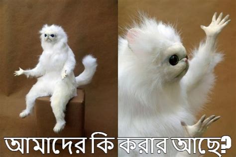 Meme আমাদের কি করার আছে All Templates Meme