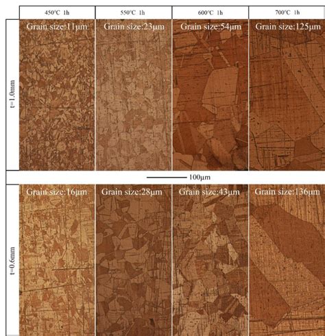 The Microstructures Of The Annealed Brass Sheets Download Scientific Diagram