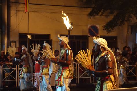 How To Experience The Magic Of Kandy Perahera 2026 Sri Lankas Most Spectacular Festival Maho