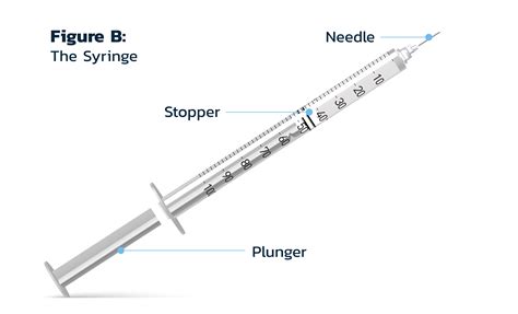 Injection Therapy Guide For Erectile Dysfunction Menmd