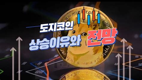 도지코인 상승이유와 전망성 일론 머스크 화성 갈끄니까 Youtube