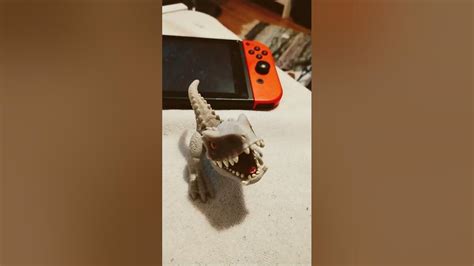 He Needs Tharipy Youtube