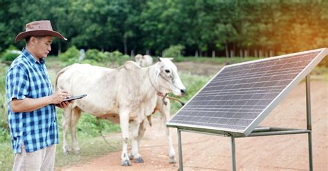 Digital Systems And Data Representations Unit Science And Au