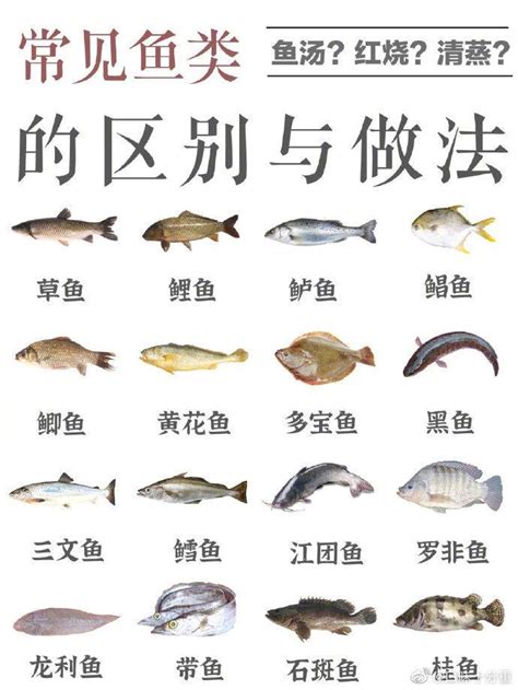 常见鱼的区别营养价值及做法 码了