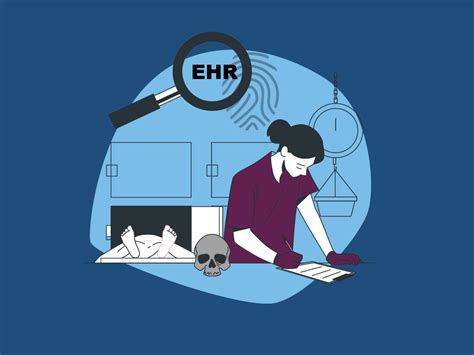Ehr Implementation Step By Step Guide For Successful Ehr Implementation Mentalyc