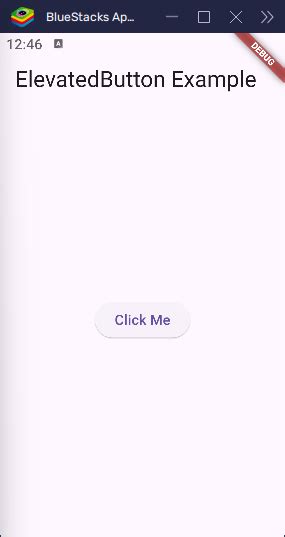 Flutter Elevatedbutton