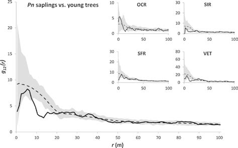 Bivariate Spatial Pattern Analysis Of Pinus Trees Considering Two Age