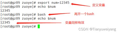 Shell 脚本基础操作shell脚本 Z什么意思 Csdn博客