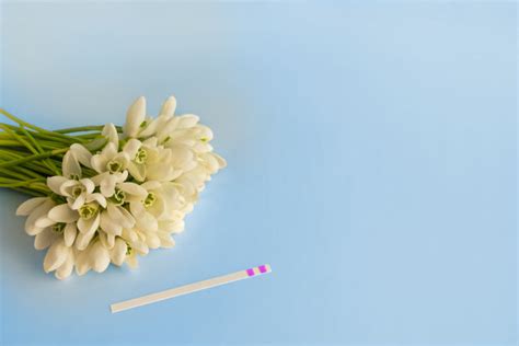 速度文字图片素材 速度文字设计素材 速度文字摄影作品 速度文字源文件下载 速度文字图片素材下载 速度文字背景素材 速度文字模板下载 搜索中心