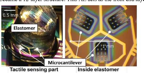 Figure 1 From Development Of Artificial Haptic Model For Human Tactile Sense Using Machine