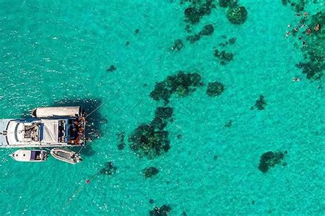 그레이트 배리어 리프 스노클링 및 초보 스쿠버다이빙 Ocean Freedom 줌줌투어 호주 케언즈