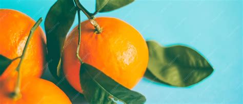 Sobremesa De Frutas Clementina Frescas E Suculentas Naturais Para Dieta