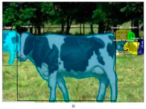 Transfer Learning Driven Cattle Instance Segmentation Using Deep Learning Models