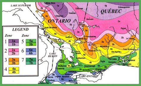 Gardening Zone Map Ontario Trees To Plant