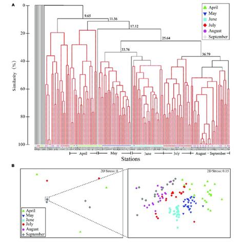 A Dendrogram Resulting From The Cluster Analysis And Nonmetric
