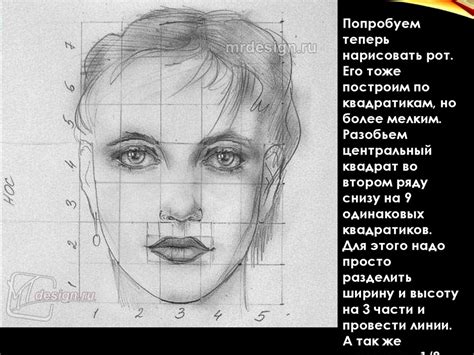 Пропорции лица человека Рисование презентация онлайн