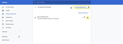 troubleshoot clear cookies on chrome browser