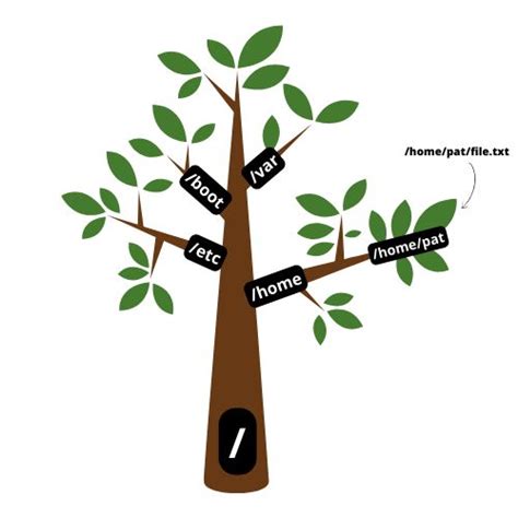 Linux Commandline Sysadmin Raspberrytips