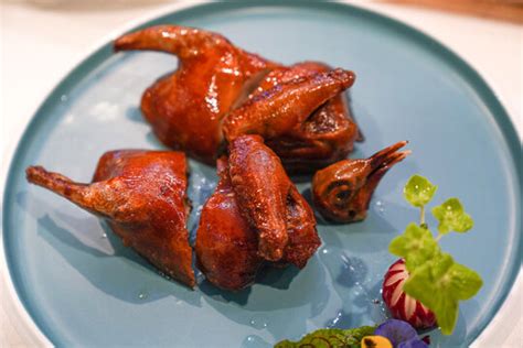 乳鸽图片素材 乳鸽设计素材 乳鸽摄影作品 乳鸽源文件下载 乳鸽图片素材下载 乳鸽背景素材 乳鸽模板下载 搜索中心