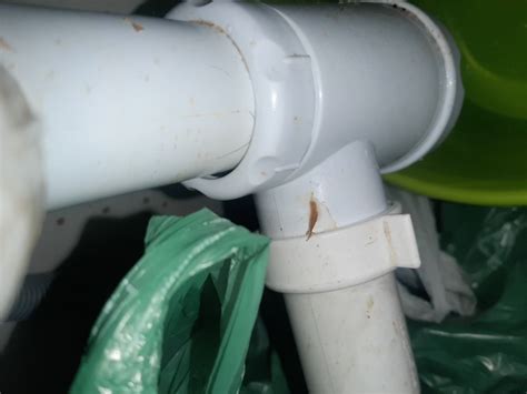 Create Meme Polypropylene Pipes Elimination Of Leakage Of Polypropylene Pipes Leaking Pipes