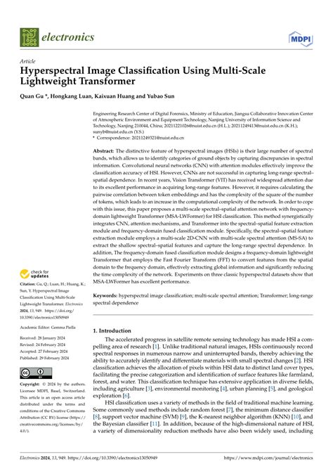 PDF Hyperspectral Image Classification Using Multi Scale Lightweight Transformer
