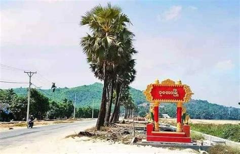 Cdm ကျောင်းဆရာမ ၁၇ ဦး ဖမ်းဆီးခံရ Network Media Group