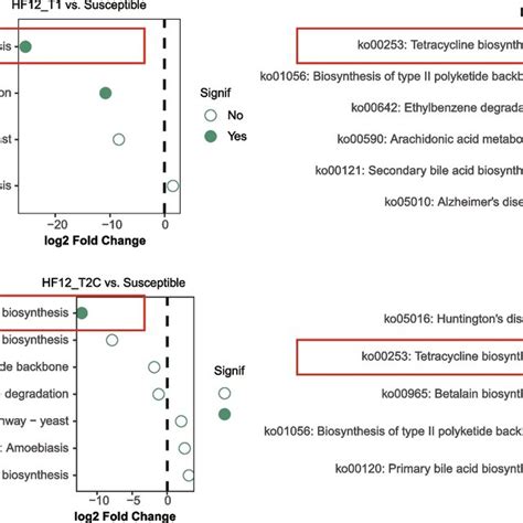 Analysis Of The Differentially Enriched Functions At Level 3 Download Scientific Diagram