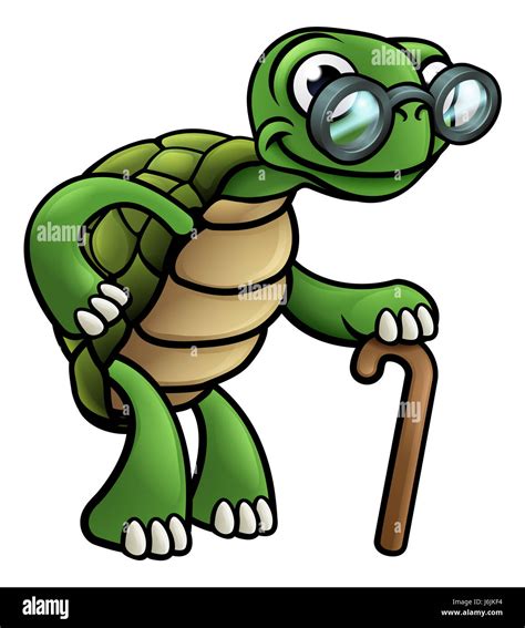 Old Turtle Cartoon Pizenia