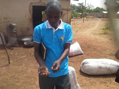 shea butter processing facilities for 200 women globalgiving