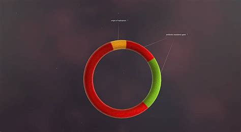 Plasmid Background Images Hd Pictures And Wallpaper For Free Download Pngtree