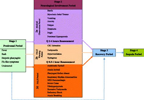 Staging Of The Infection Progression Download Scientific Diagram