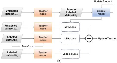 a training overview and b process with label unlabeled datasets of