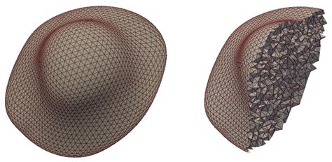 On The Left Volume Discretization Using Tetrahedral Mesh On The Download Scientific Diagram