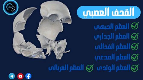 مراجعة شاملة لعظام القحف العصبي العظم الجبهي والجداري والقذالي