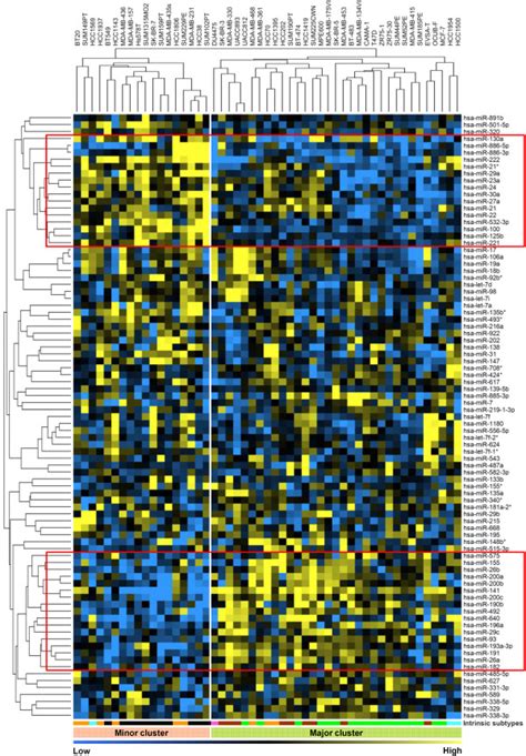 Global Mirna Expression Analysis Of 51 Human Breast Cancer Cell Lines