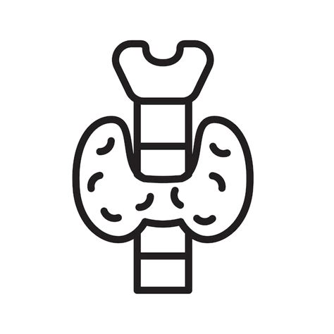 Premium Vector Thyroid Gland
