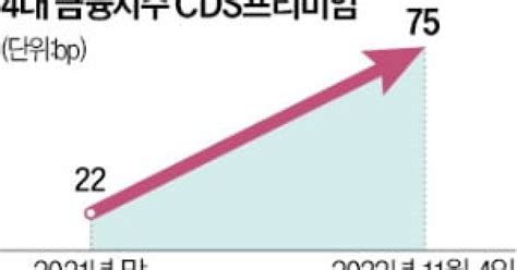 레고랜드·흥국생명 여파4대지주 부도위험 껑충