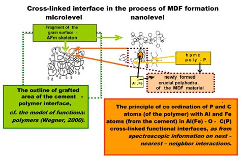 Cross Linked Functional Interface In The Mdf Materials Right The